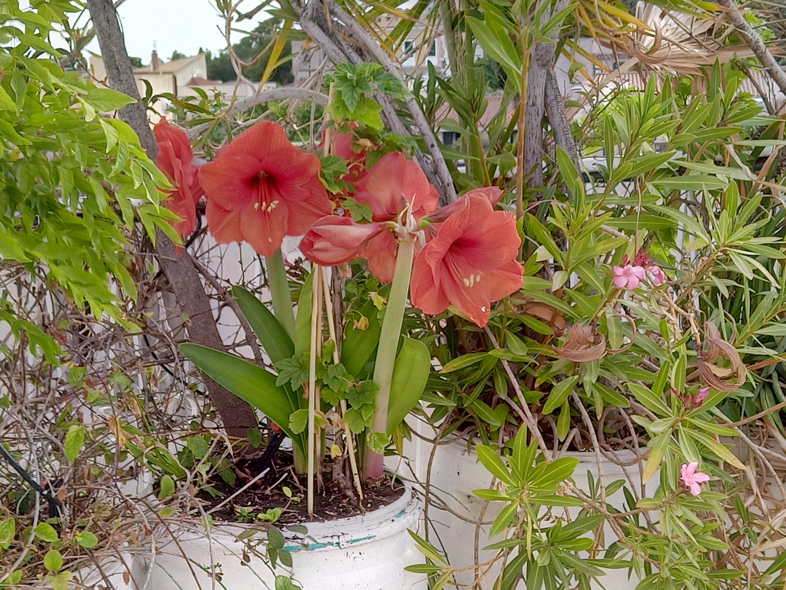 photos 2019 – Alkis Raftis